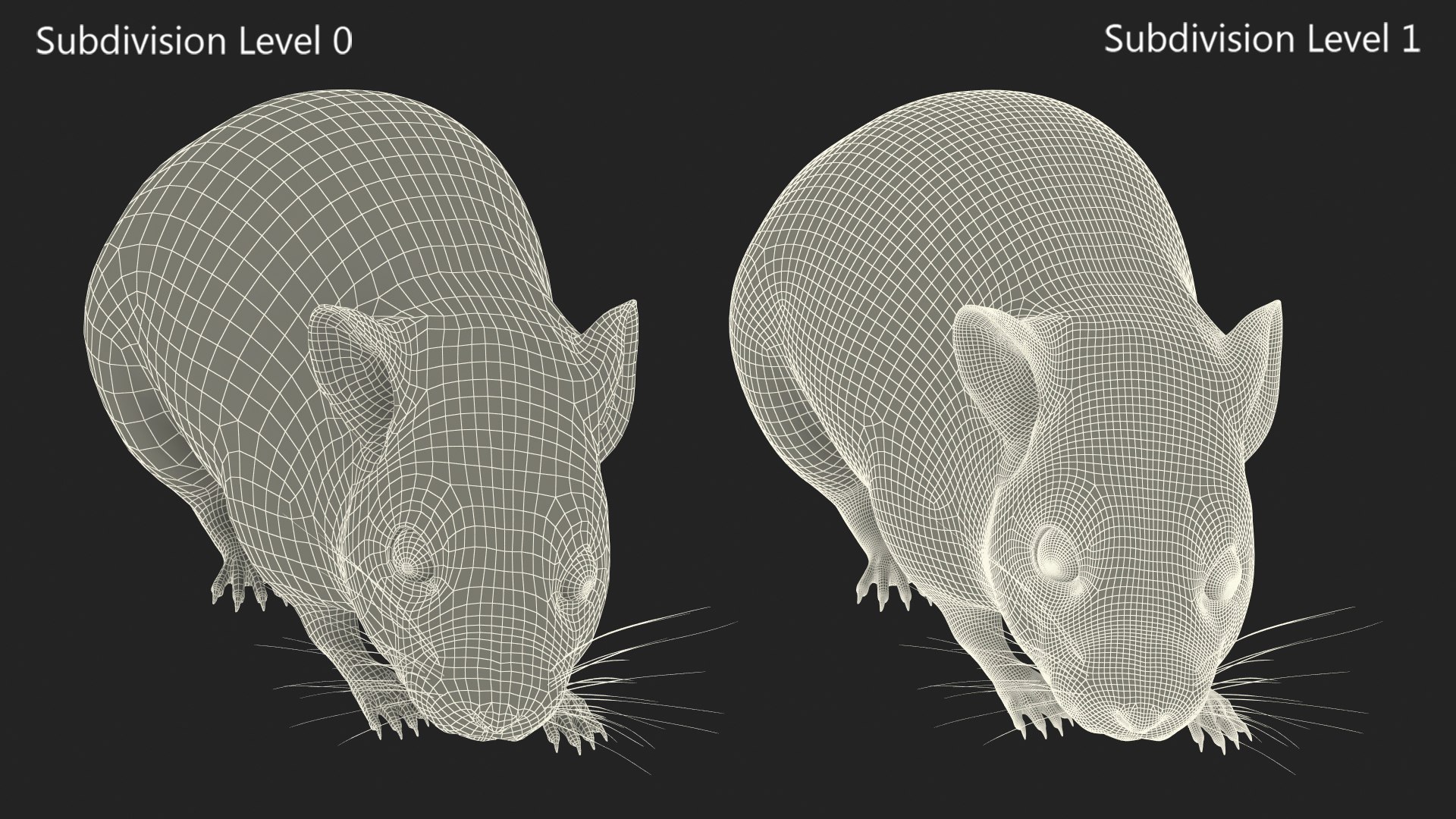 Kakadu Pebble-mound Mouse Idle Pose Model - TurboSquid 2196941
