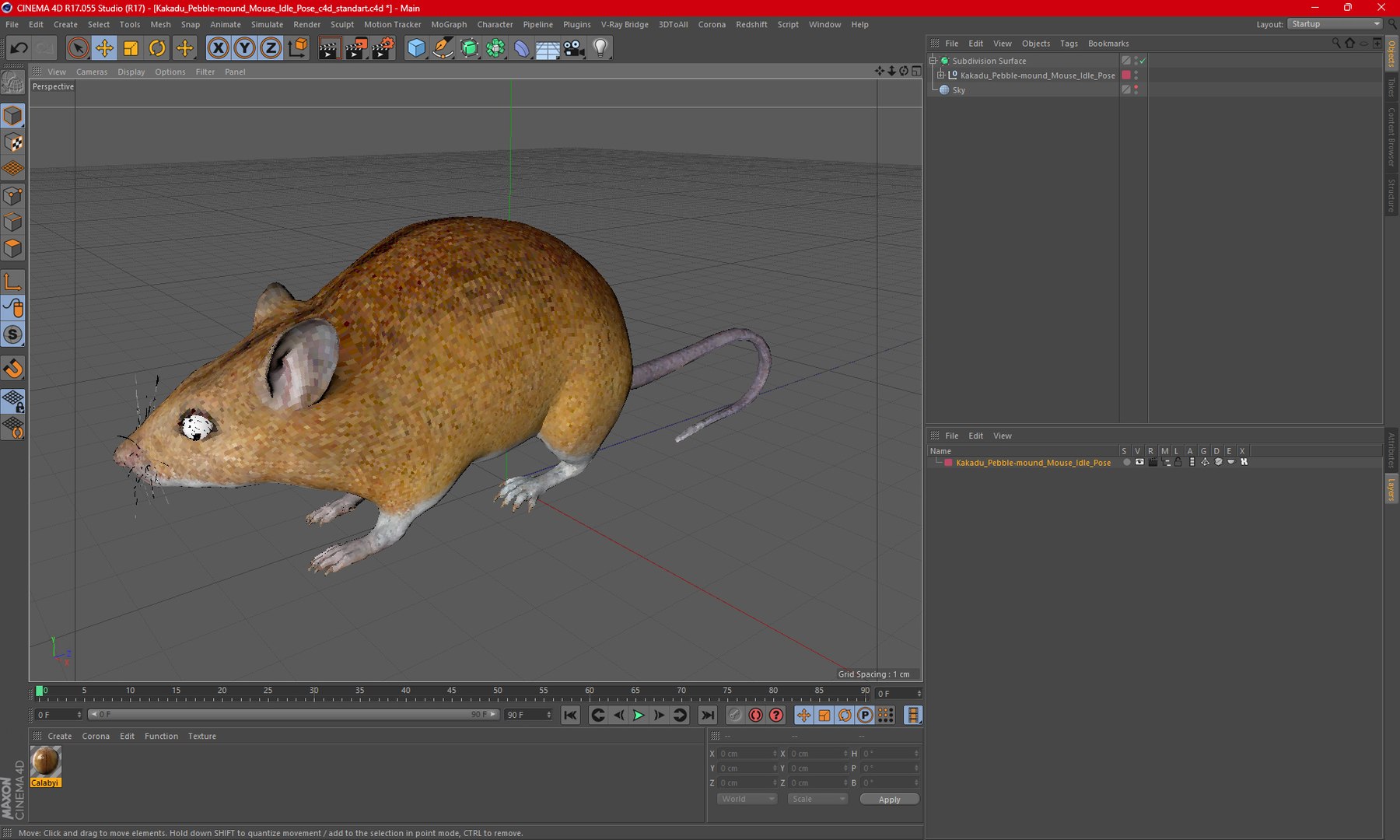 Kakadu Pebble-mound Mouse Idle Pose Model - TurboSquid 2196941