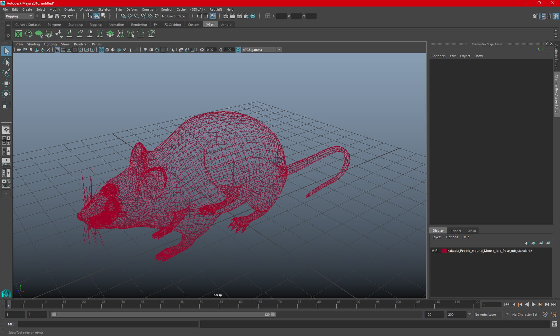 Kakadu Pebble-mound Mouse Idle Pose Model - TurboSquid 2196941
