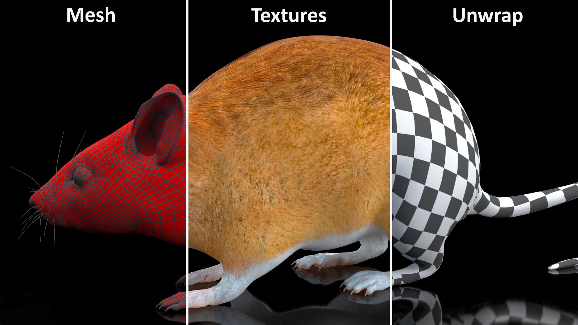 Kakadu Pebble-mound Mouse Idle Pose Model - TurboSquid 2196941