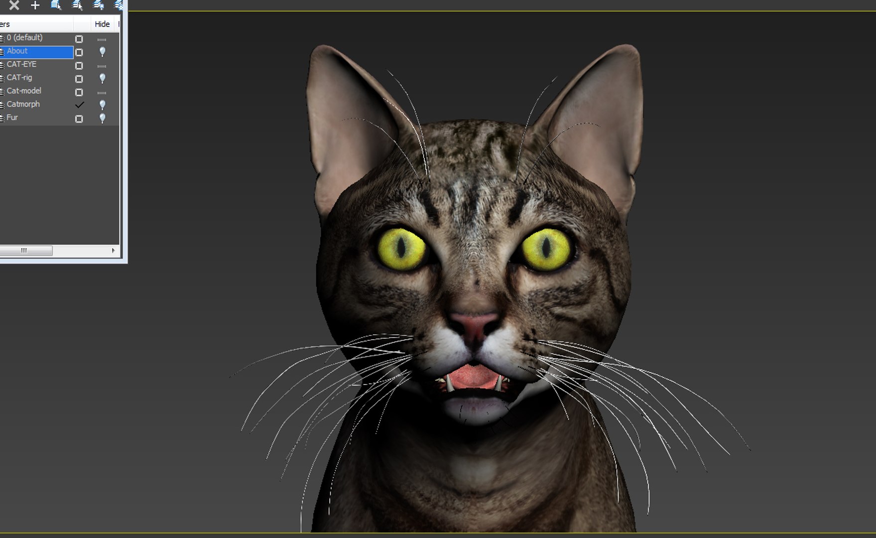 3d Max Cat Hairfarm Animation