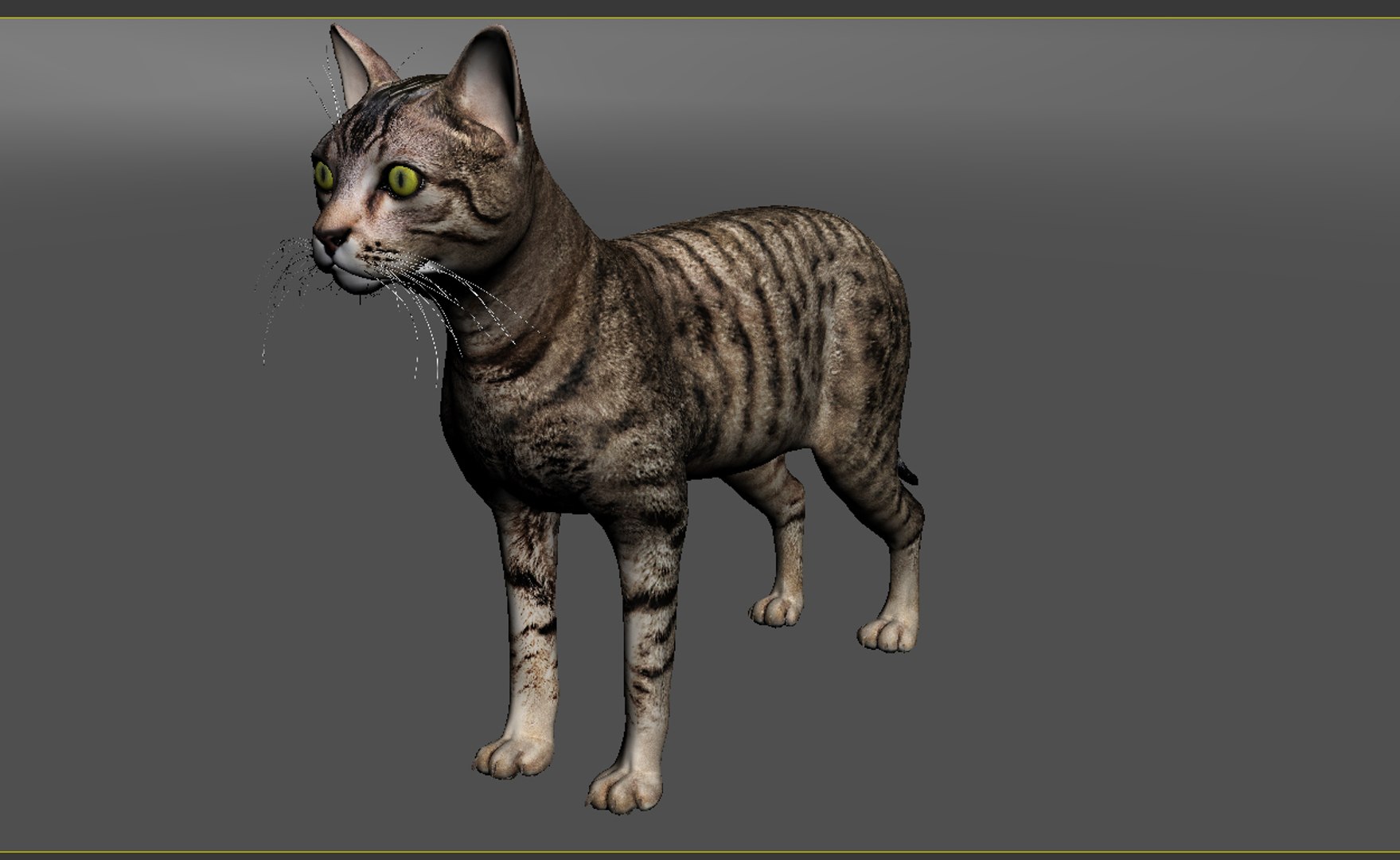 3d Max Cat Hairfarm Animation