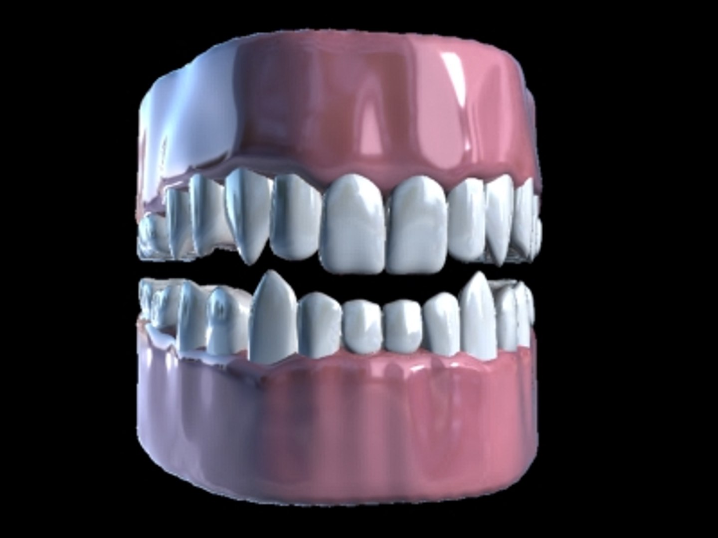 3d Model Human Teeth