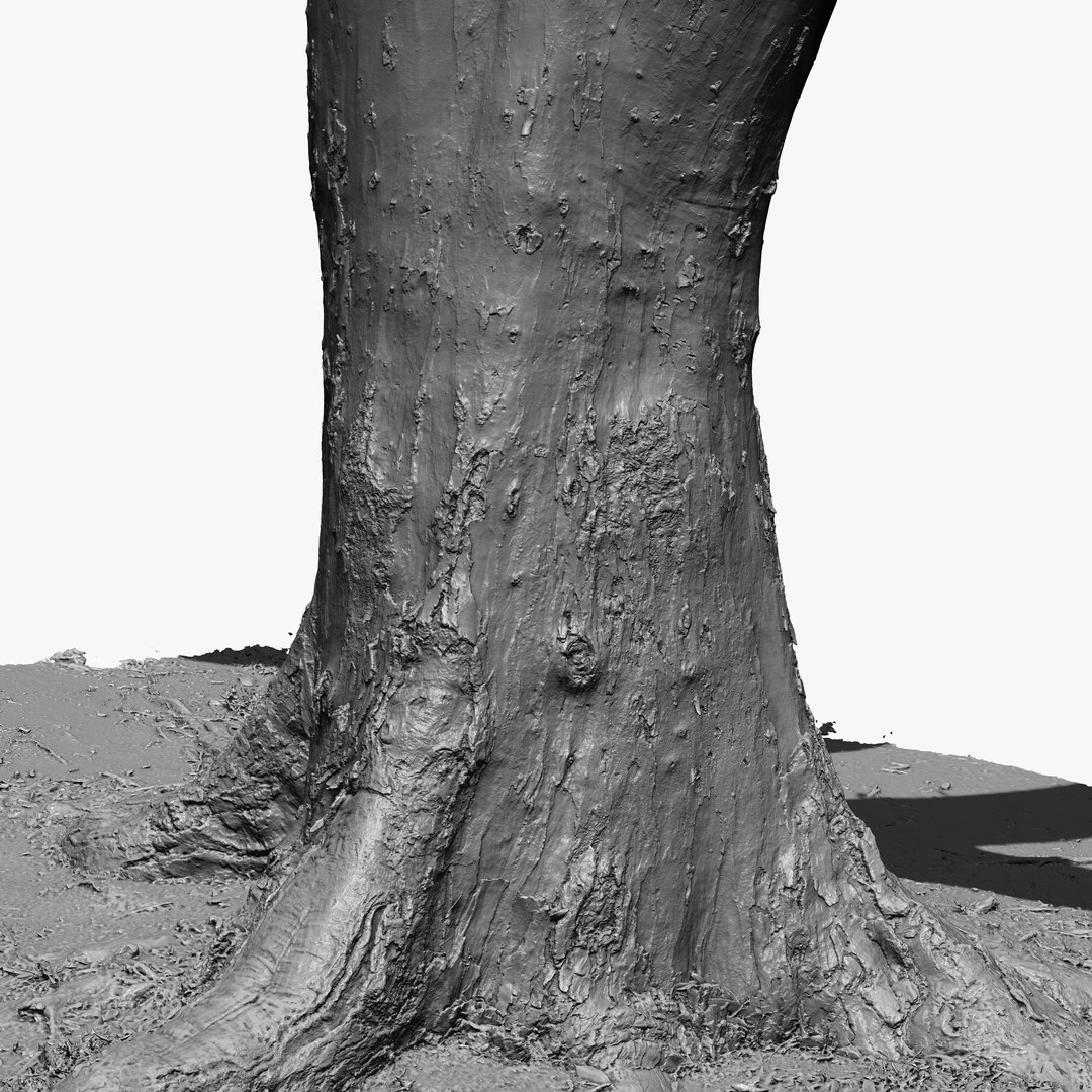 Tree Scan Ultra HQ mesh 6x16k Textures model - TurboSquid 1791923