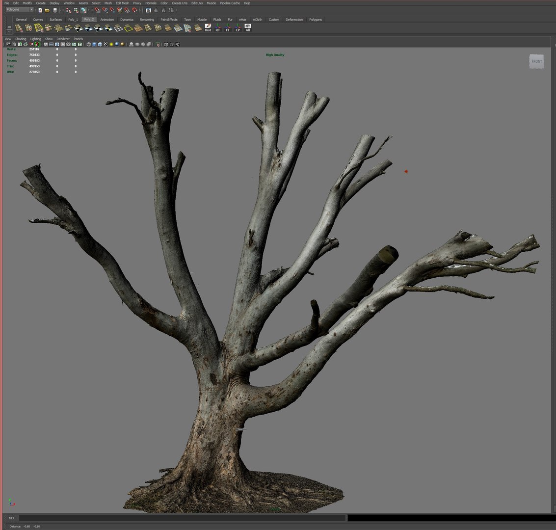 Tree Scan Ultra HQ mesh 6x16k Textures model - TurboSquid 1791923