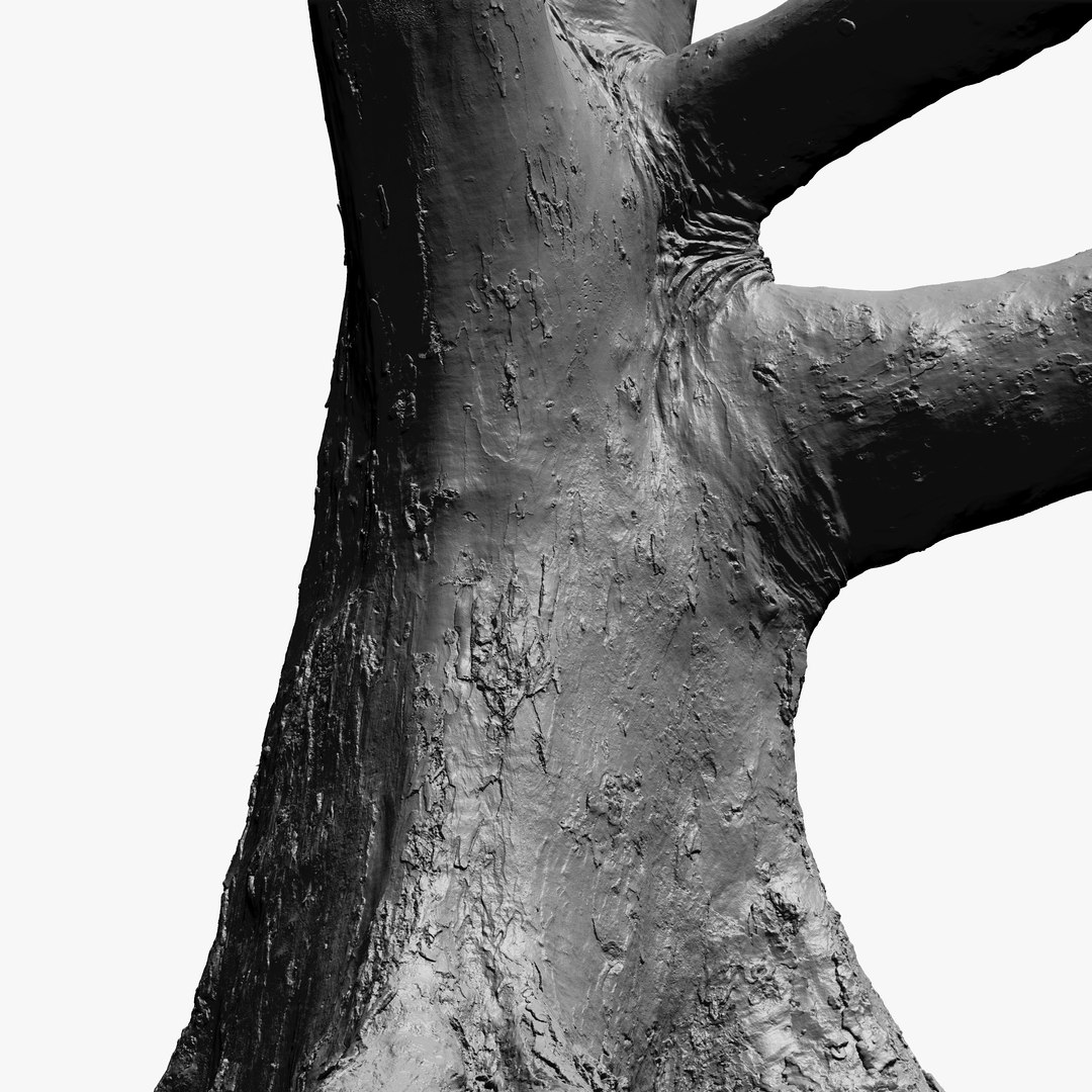 Tree Scan Ultra HQ mesh 6x16k Textures model - TurboSquid 1791923