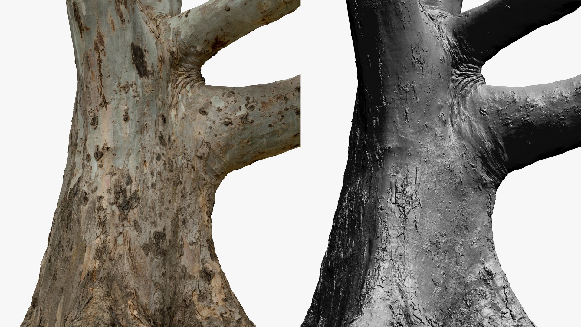 Tree Scan Ultra HQ mesh 6x16k Textures model - TurboSquid 1791923