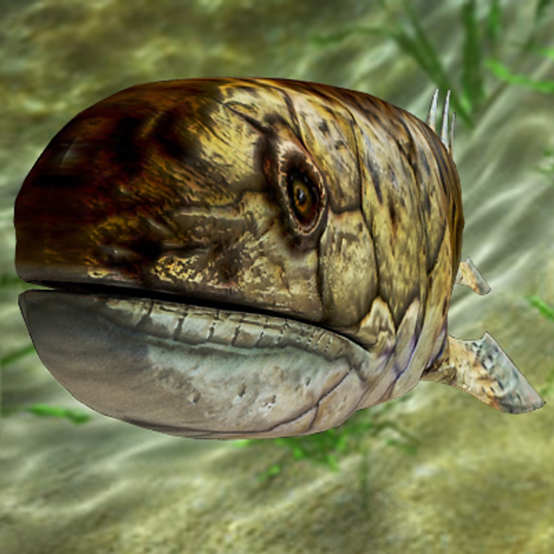 Maya Eusthenopteron Fish Evolution
