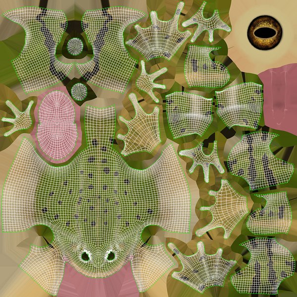 3D model Frog Body Skeleton and Organs Static - TurboSquid 1908300