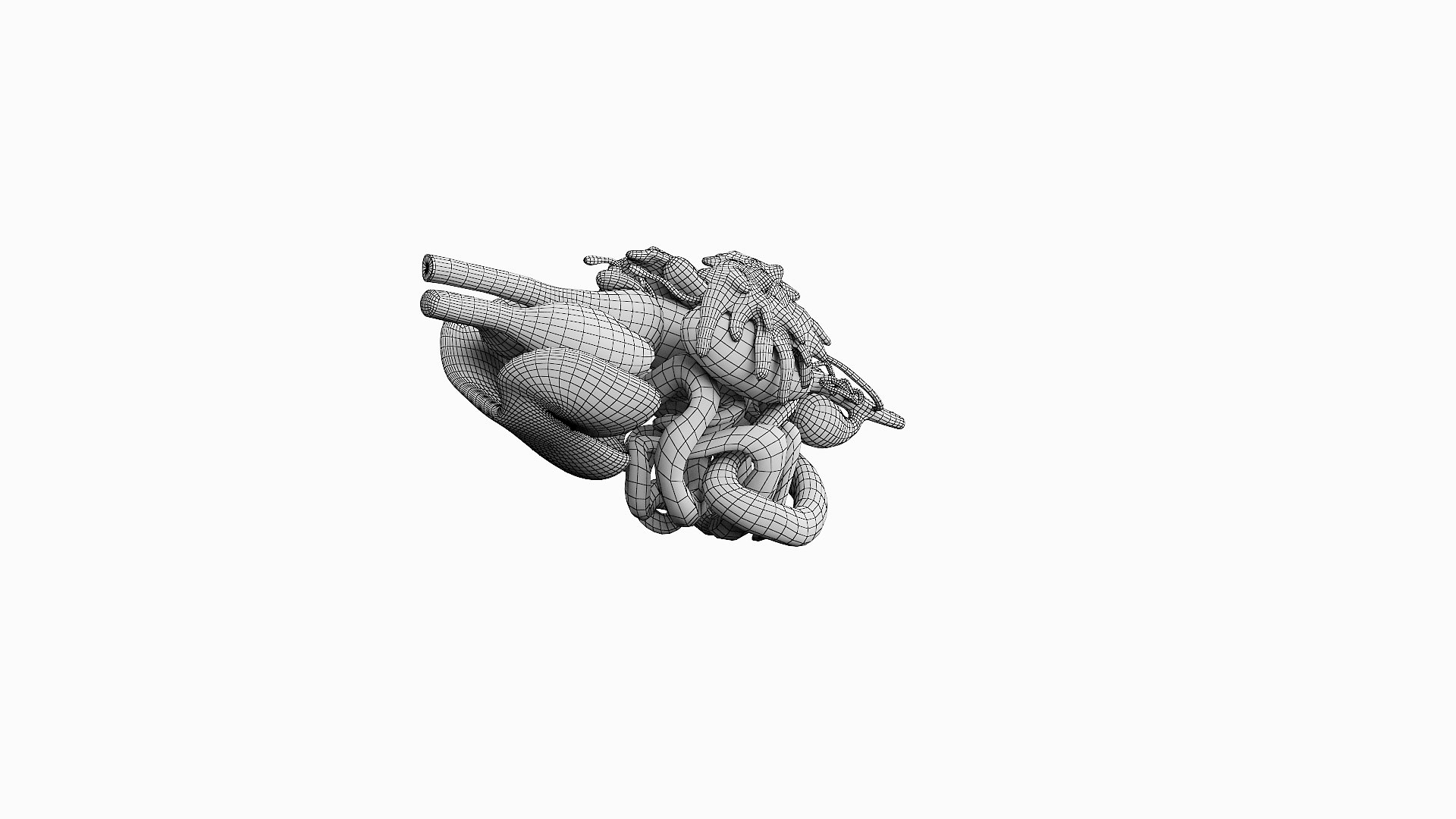 3D model Frog Body Skeleton and Organs Static - TurboSquid 1908300
