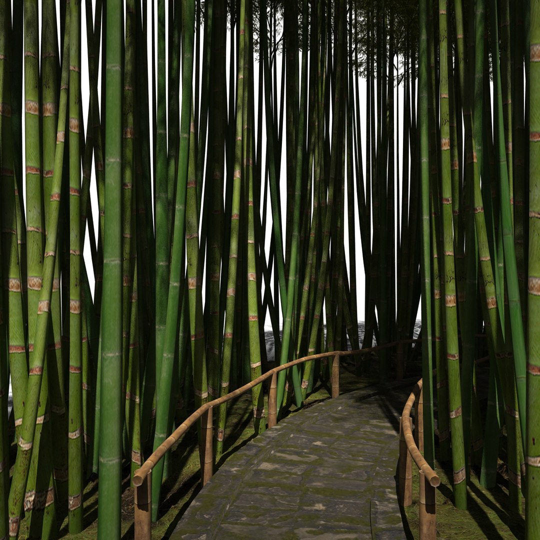3D Bamboo Corridor Model - TurboSquid 1214665
