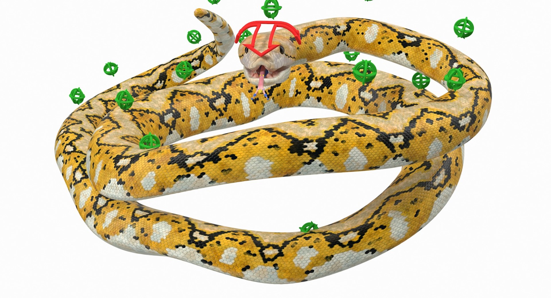 Yellow Python Snake Rigged 3D - TurboSquid 1420375