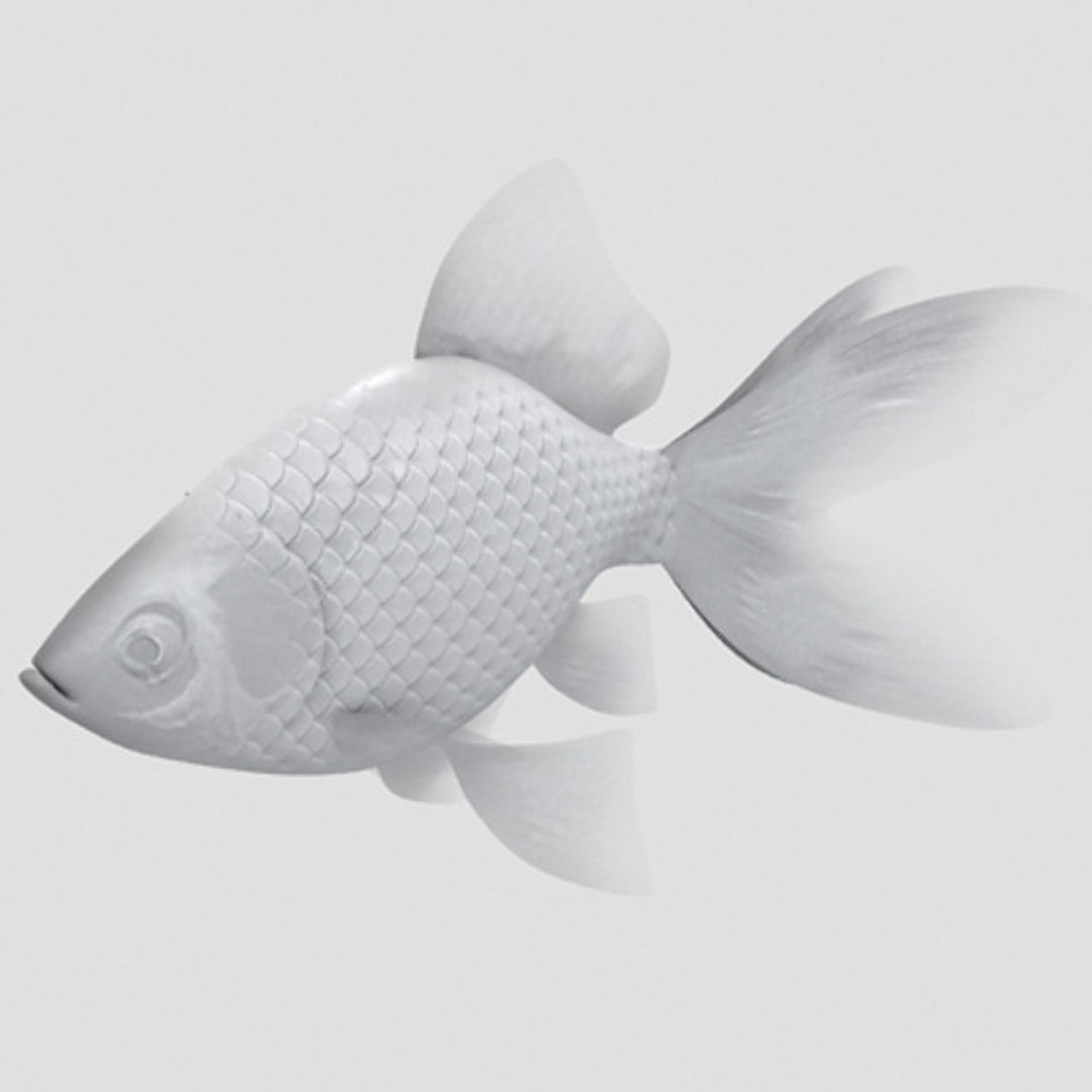 goldfish rigged 3d model