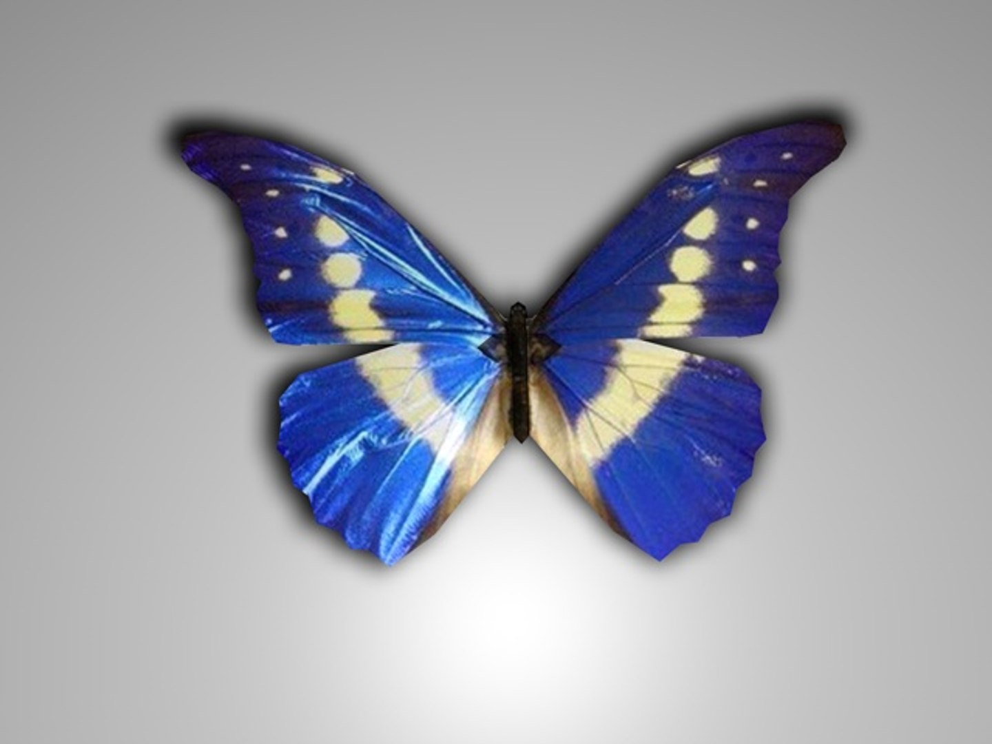 Obj Butterfly
