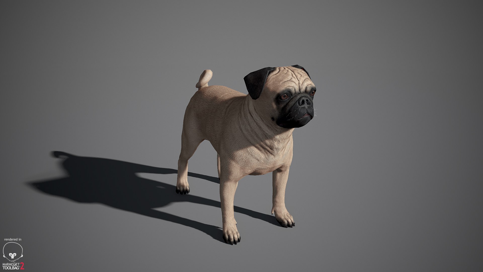3d model realistic pug dog real-time