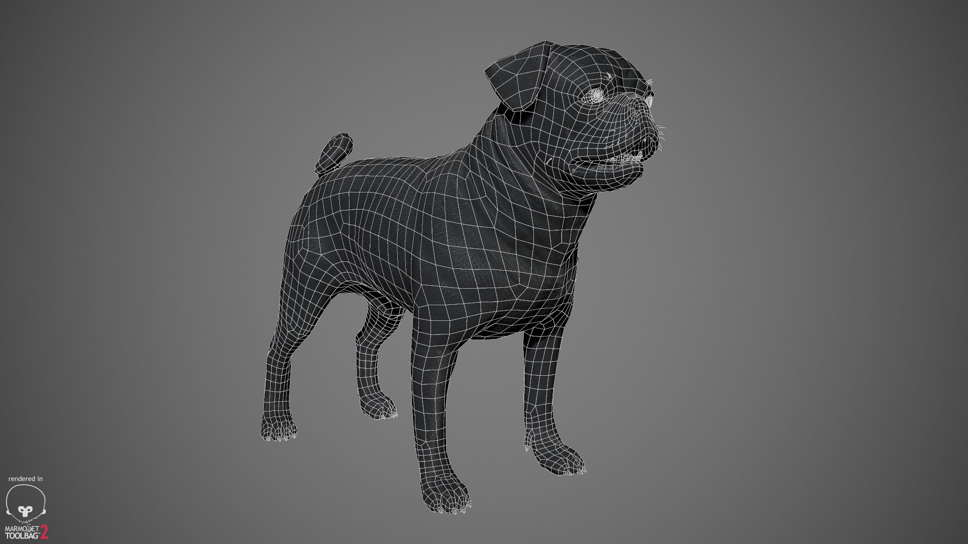 3d model realistic pug dog real-time