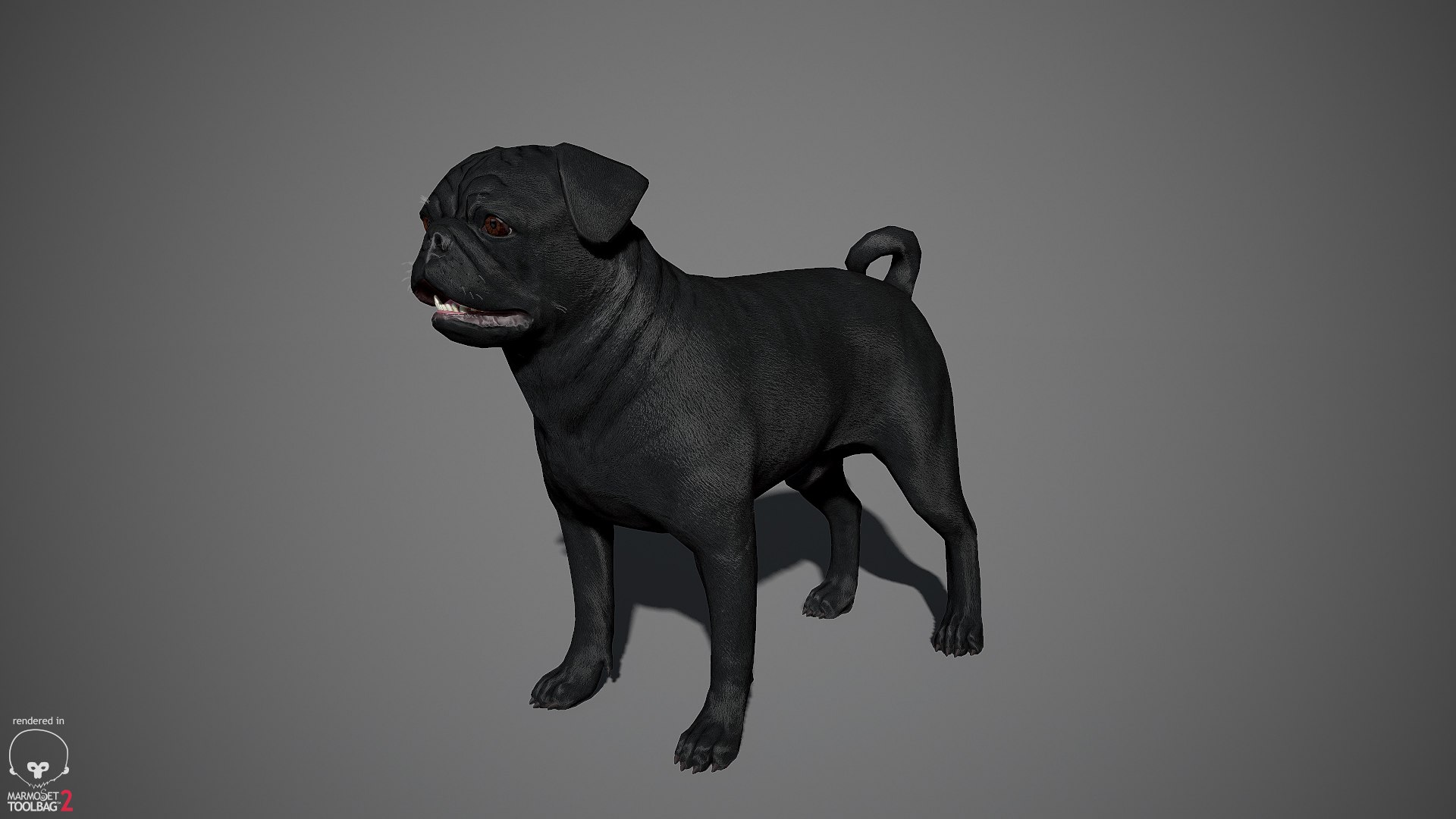 3d model realistic pug dog real-time
