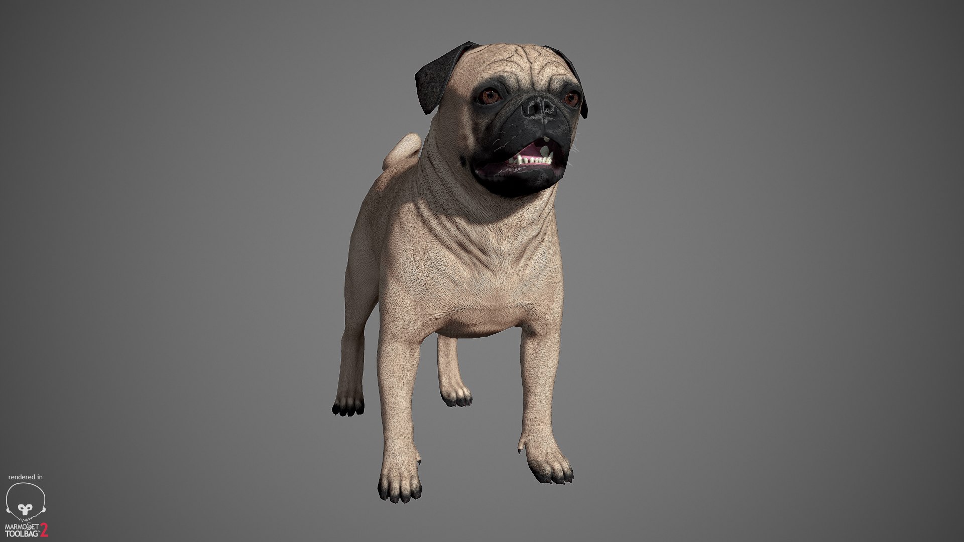 3d model realistic pug dog real-time