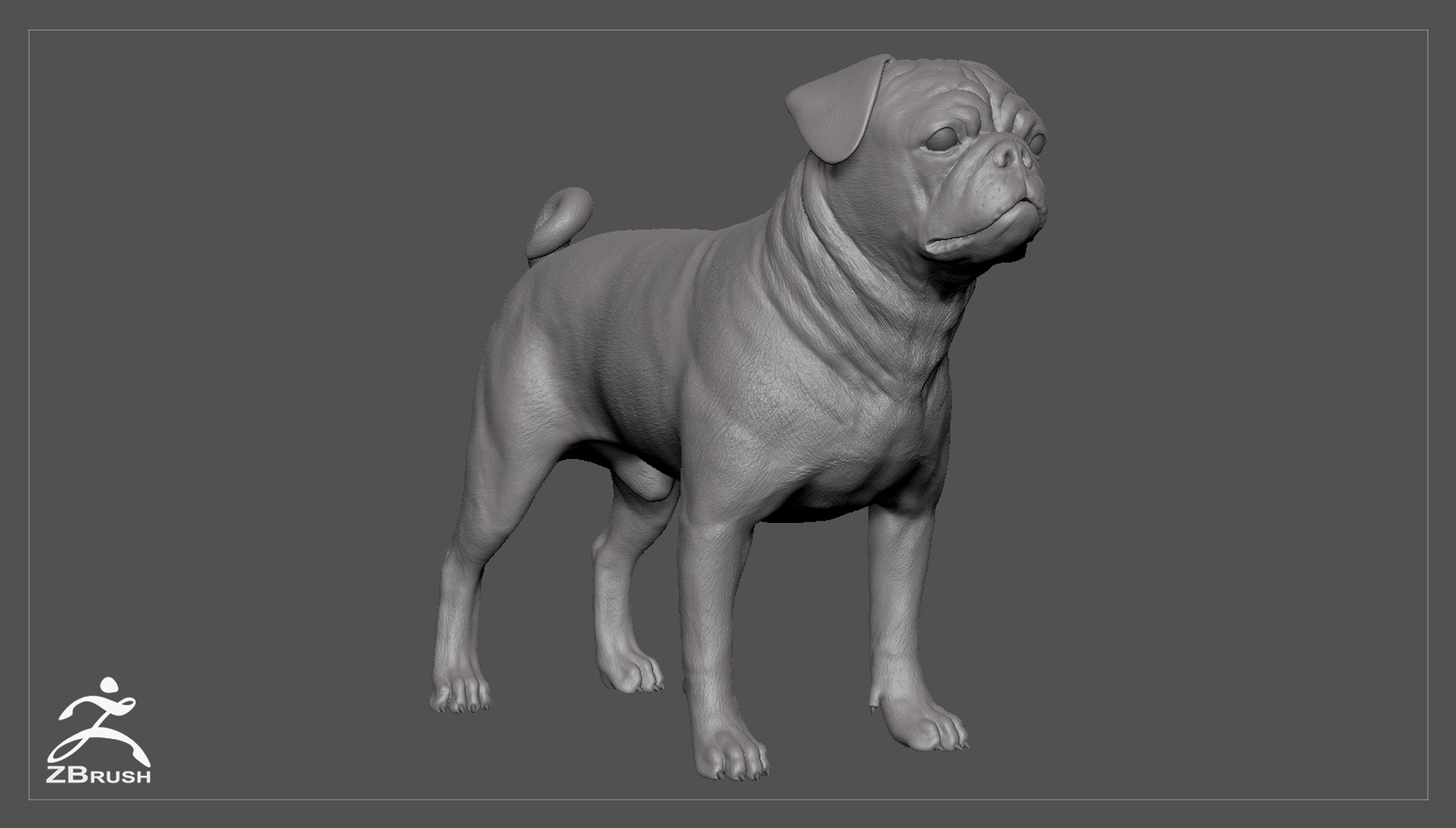 3d model realistic pug dog real-time
