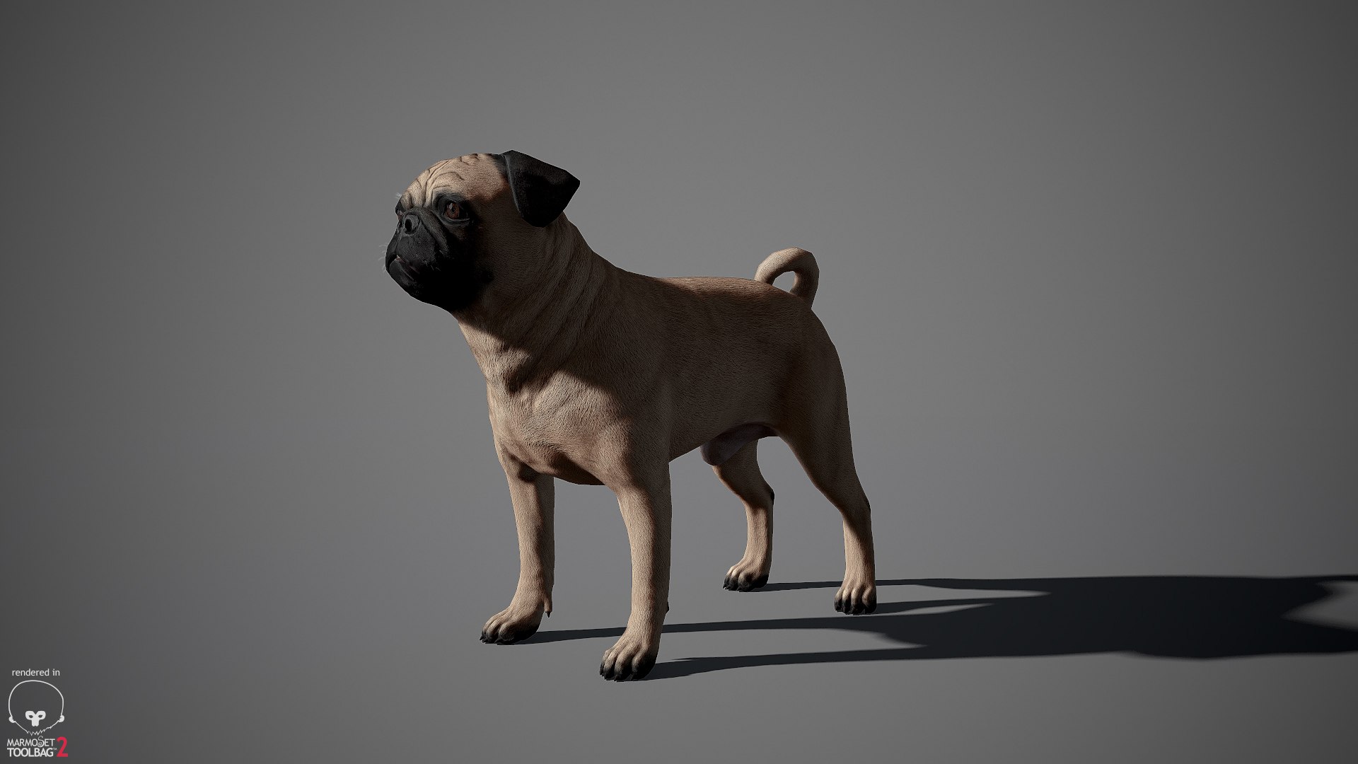 3d Model Realistic Pug Dog Real-time