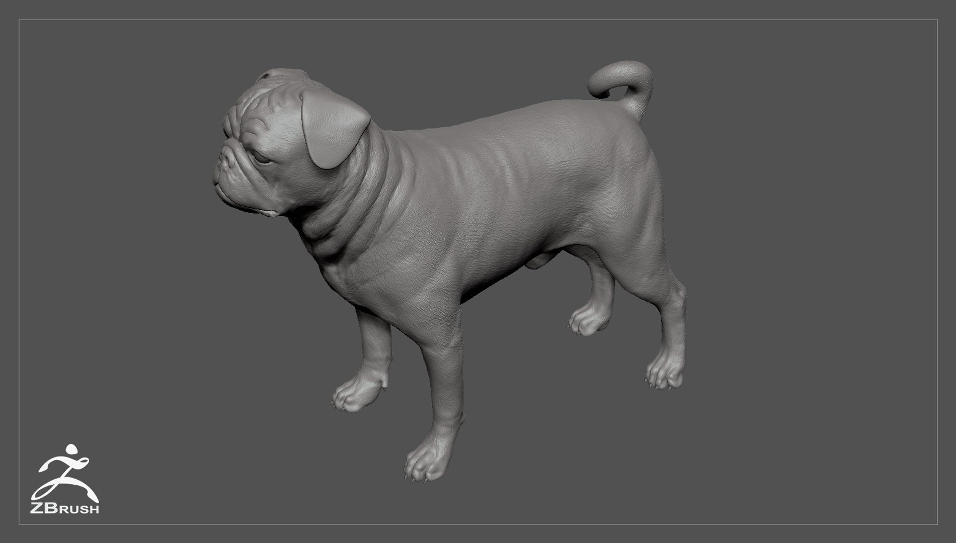 3d model realistic pug dog real-time