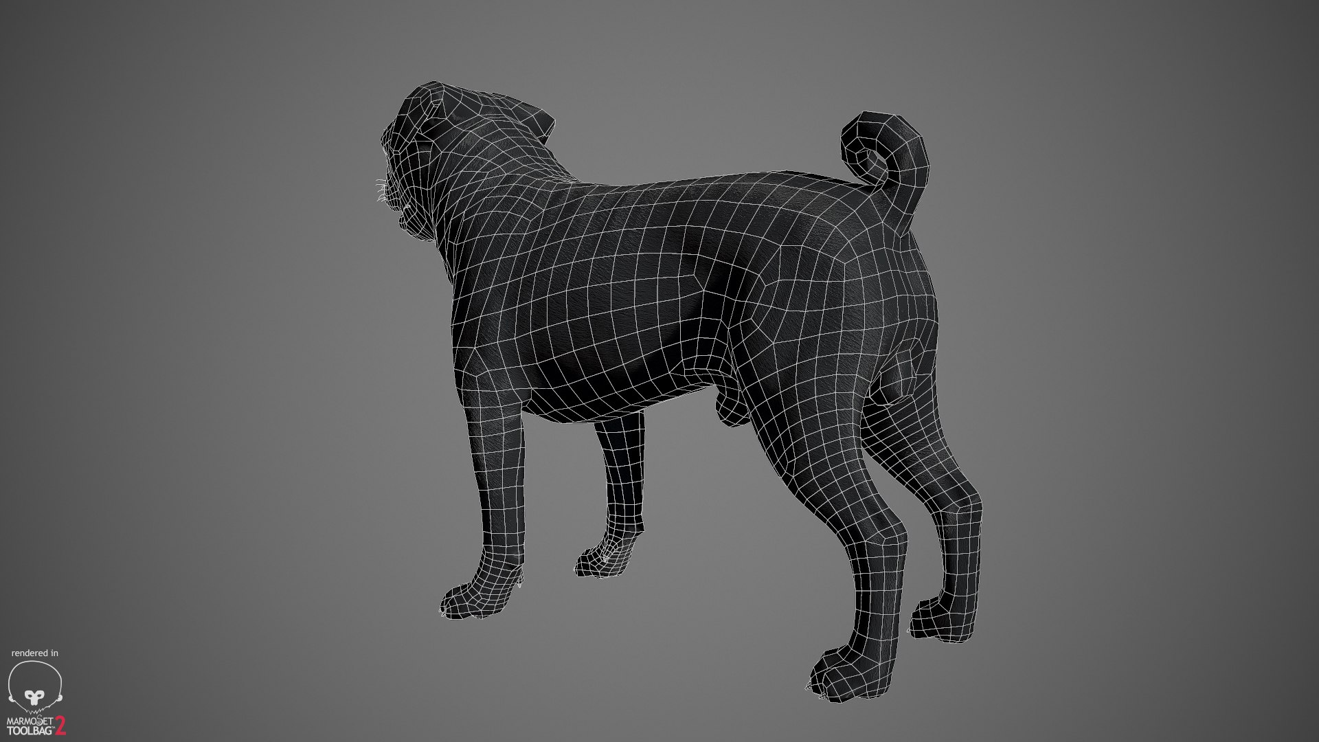 3d model realistic pug dog real-time