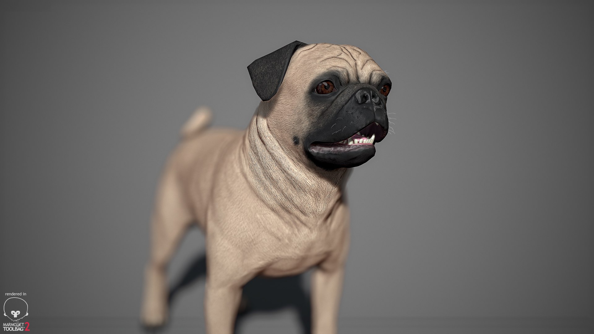 3d model realistic pug dog real-time