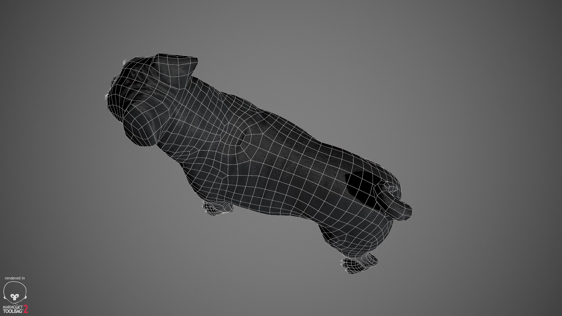 3d model realistic pug dog real-time