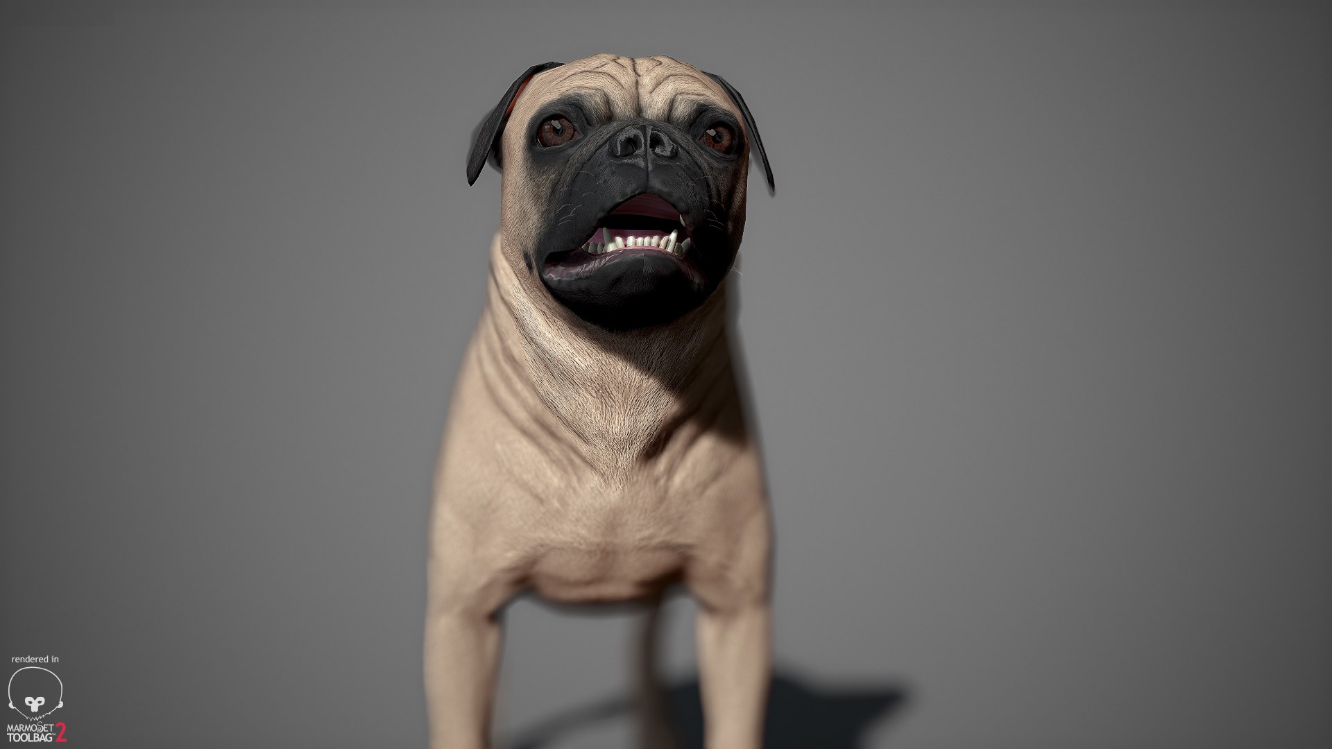 3d model realistic pug dog real-time