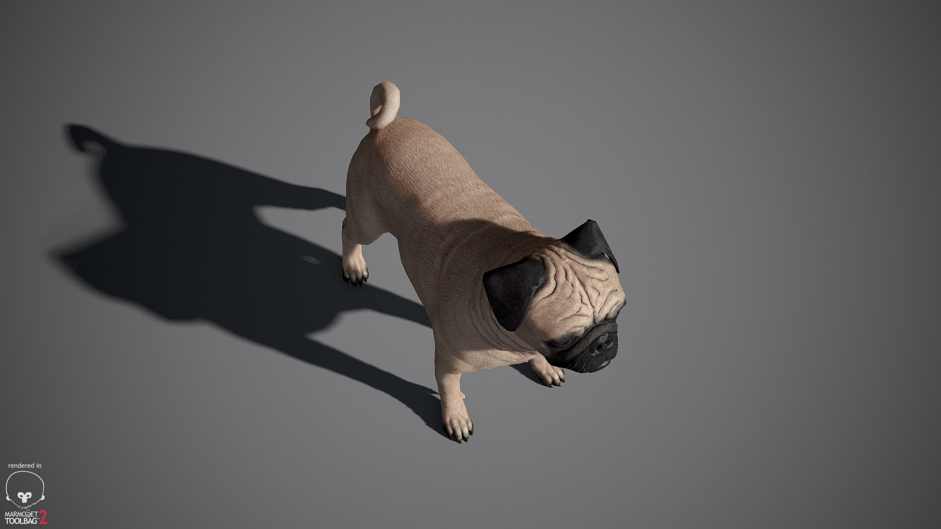 3d model realistic pug dog real-time
