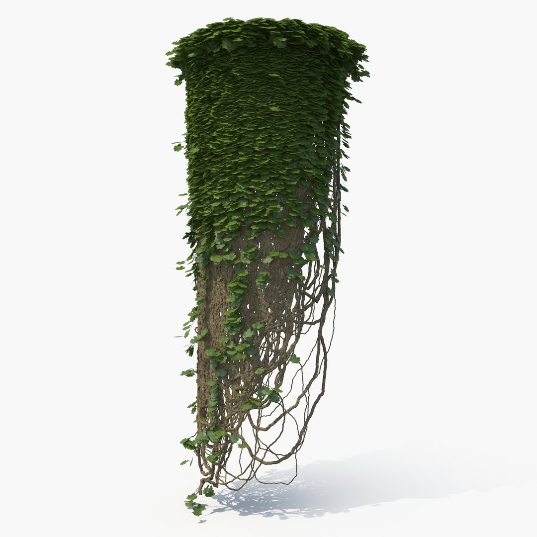 Realistic Ivy Column Model - TurboSquid 1151657
