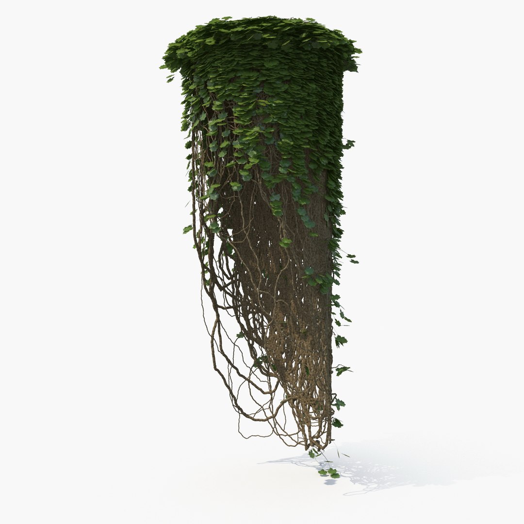 Realistic Ivy Column Model - TurboSquid 1151657