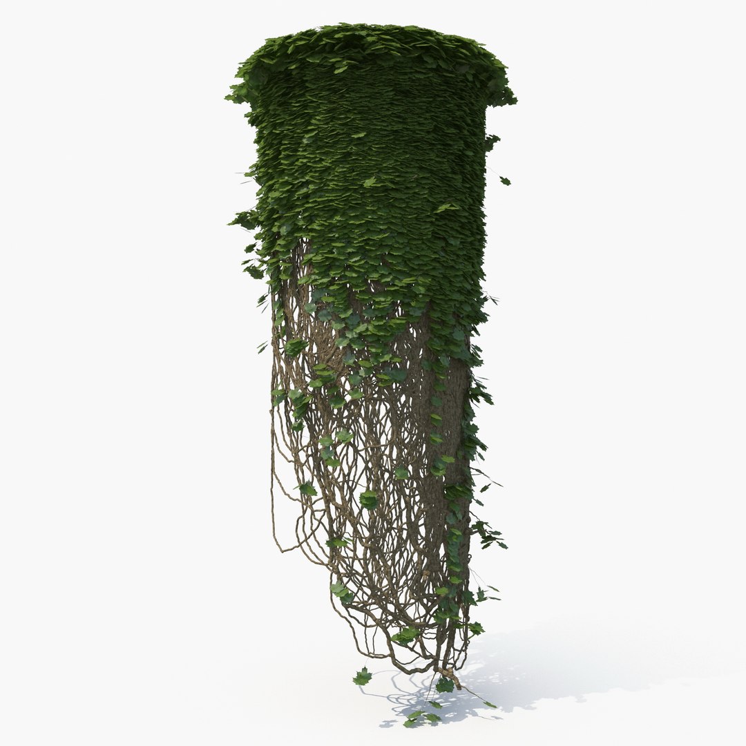 Realistic Ivy Column Model - TurboSquid 1151657