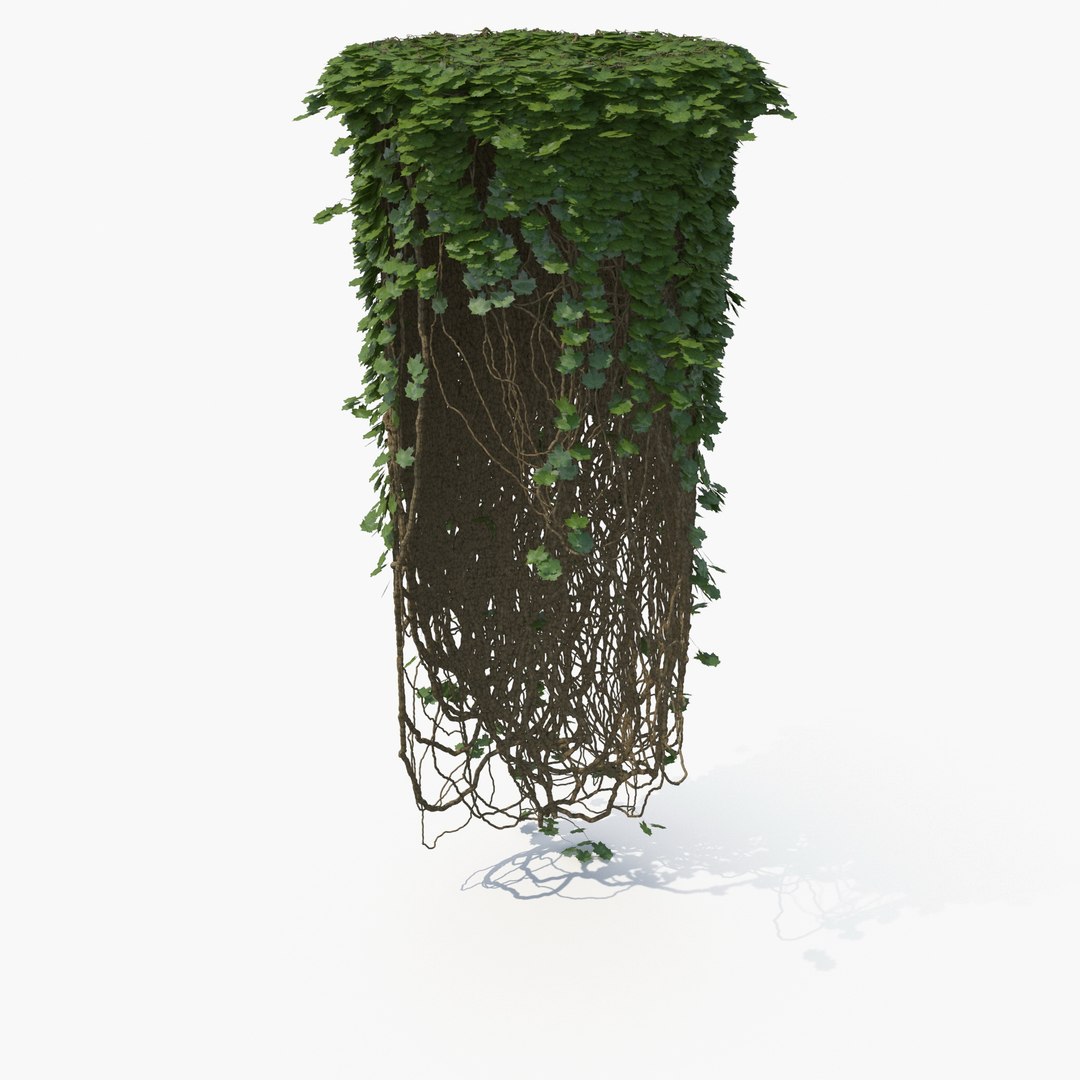 Realistic Ivy Column Model - TurboSquid 1151657