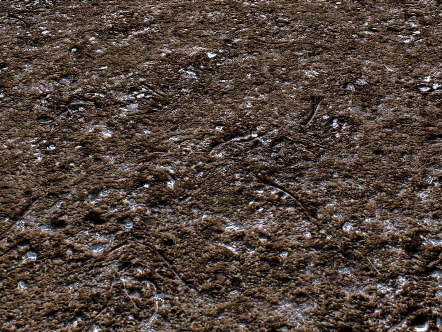 3D Displacement Ground - TurboSquid 1261904