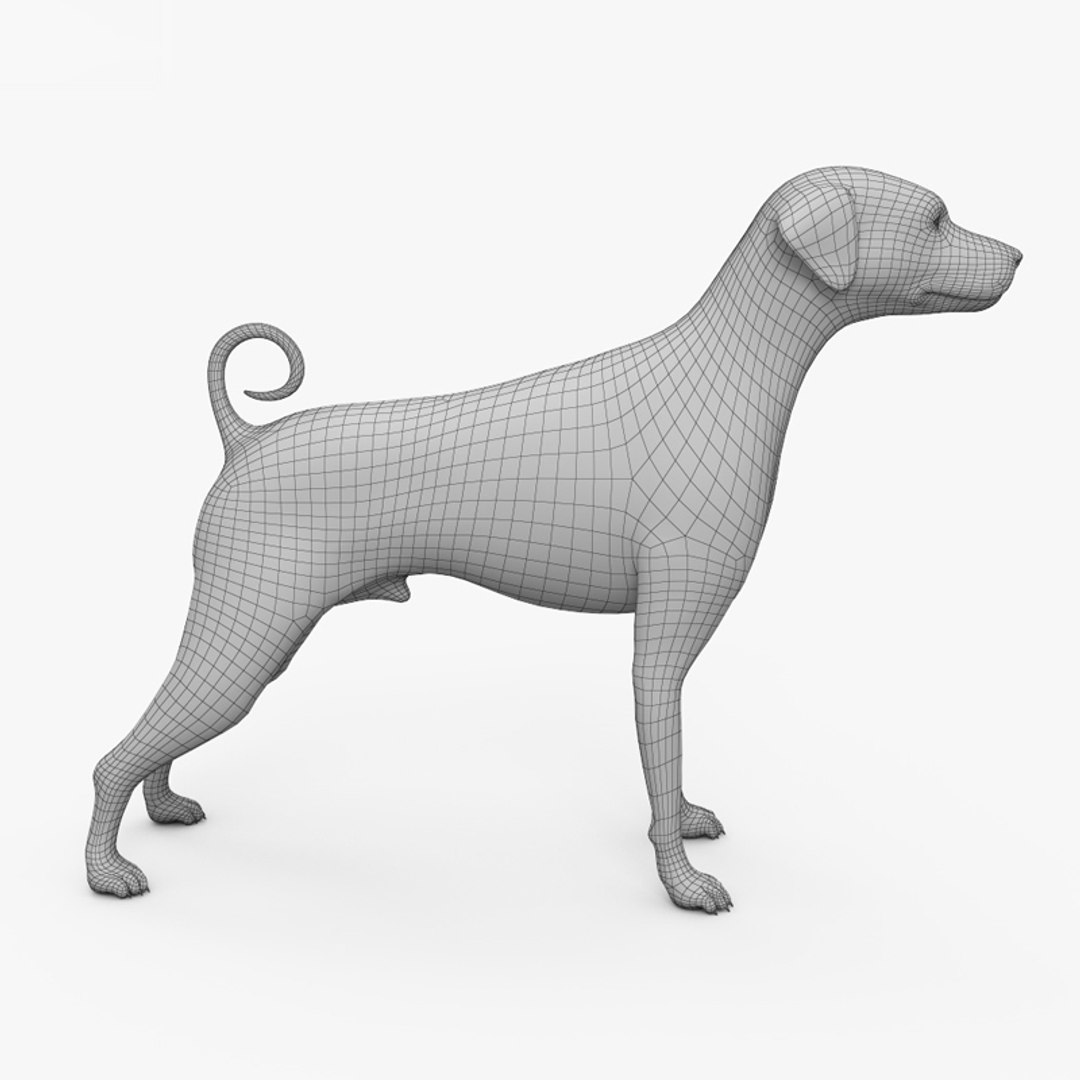 Schnauzer Dog Animal 3D Model - TurboSquid 1594091