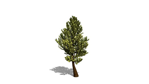 Free Low Poly Tree Blender Models for Download | TurboSquid