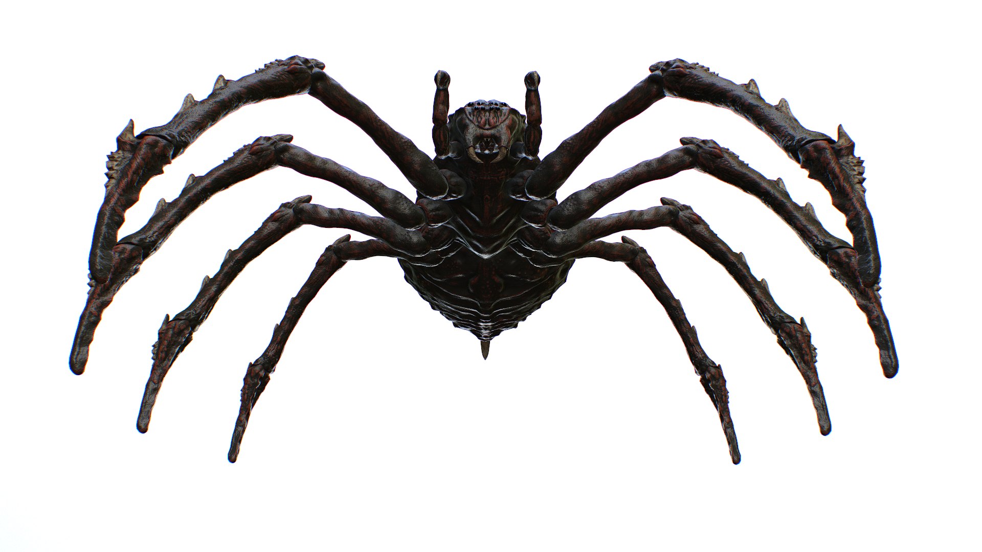 Spider Warrior 3D model - TurboSquid 1950826