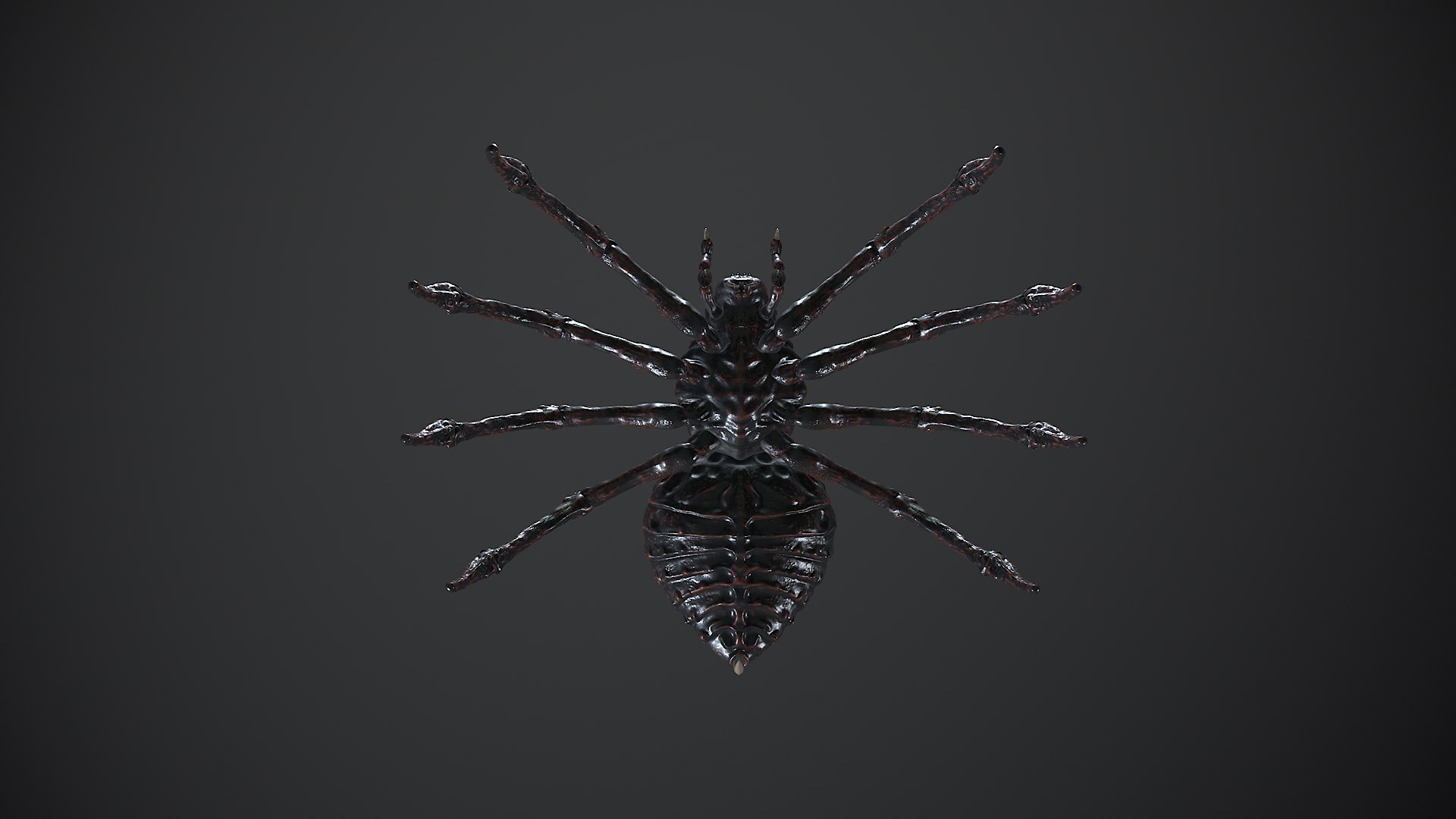 Spider Warrior 3D model - TurboSquid 1950826