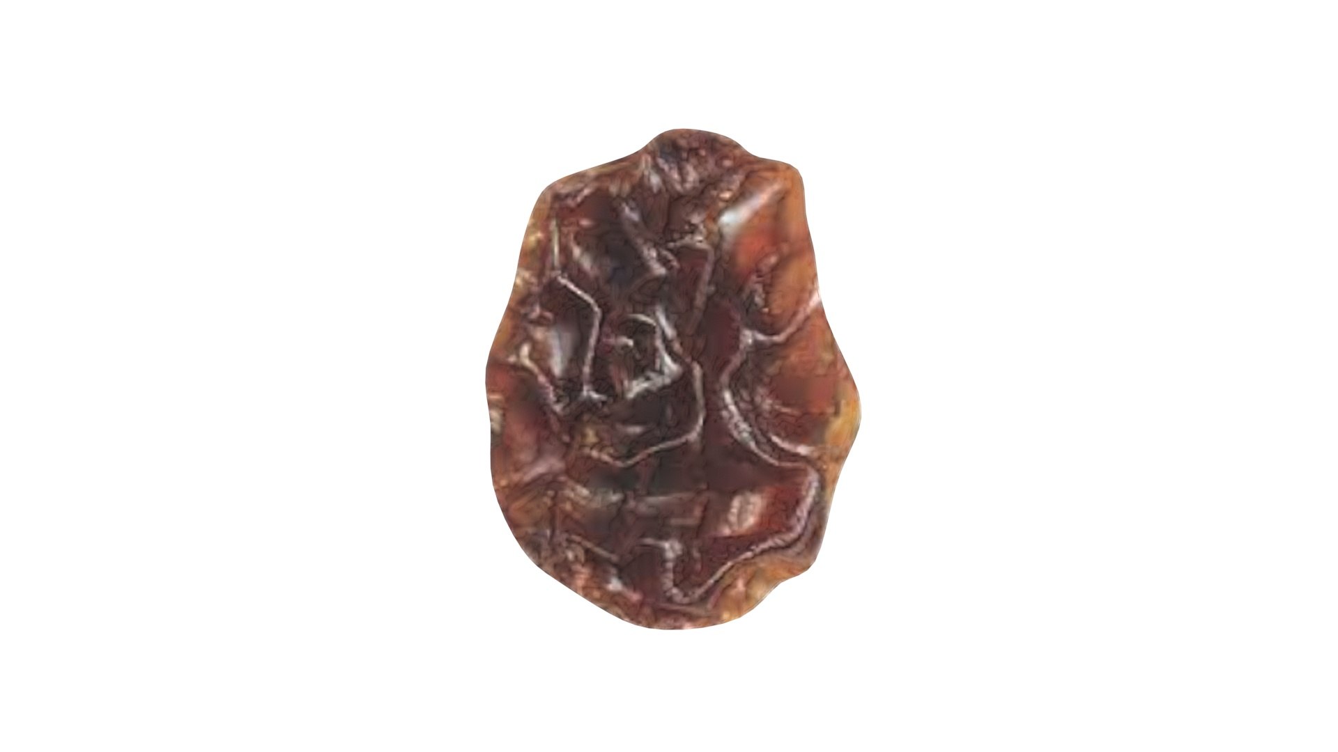Raisin 3D Model - TurboSquid 1852168