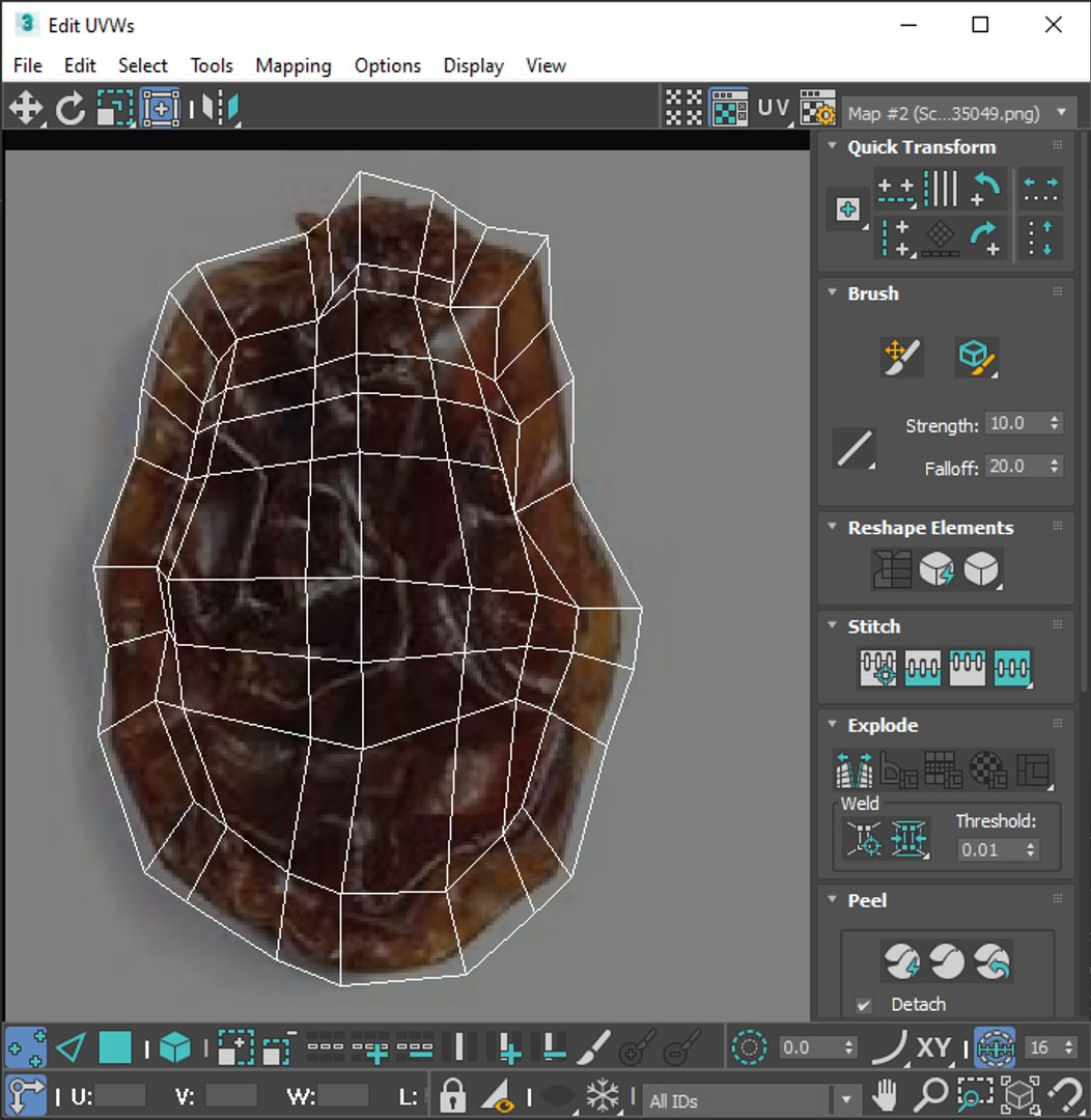 Raisin 3D Model - TurboSquid 1852168
