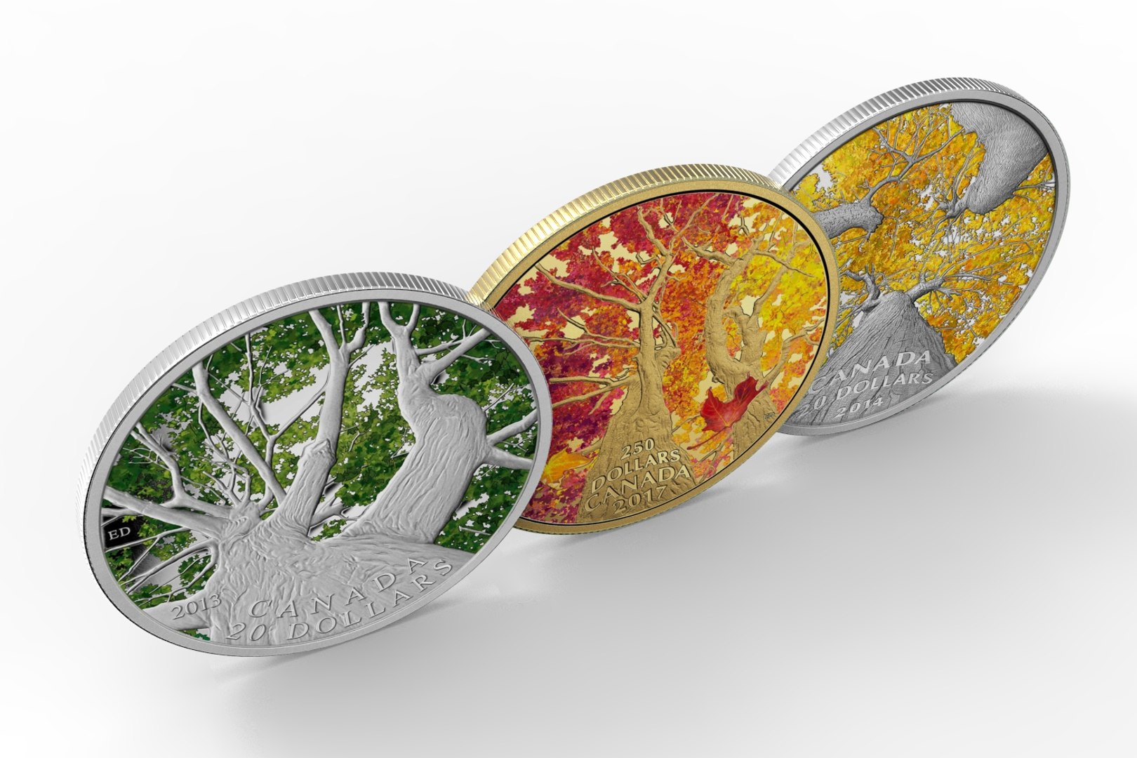 3D Canadian 20 Coins - TurboSquid 1557687