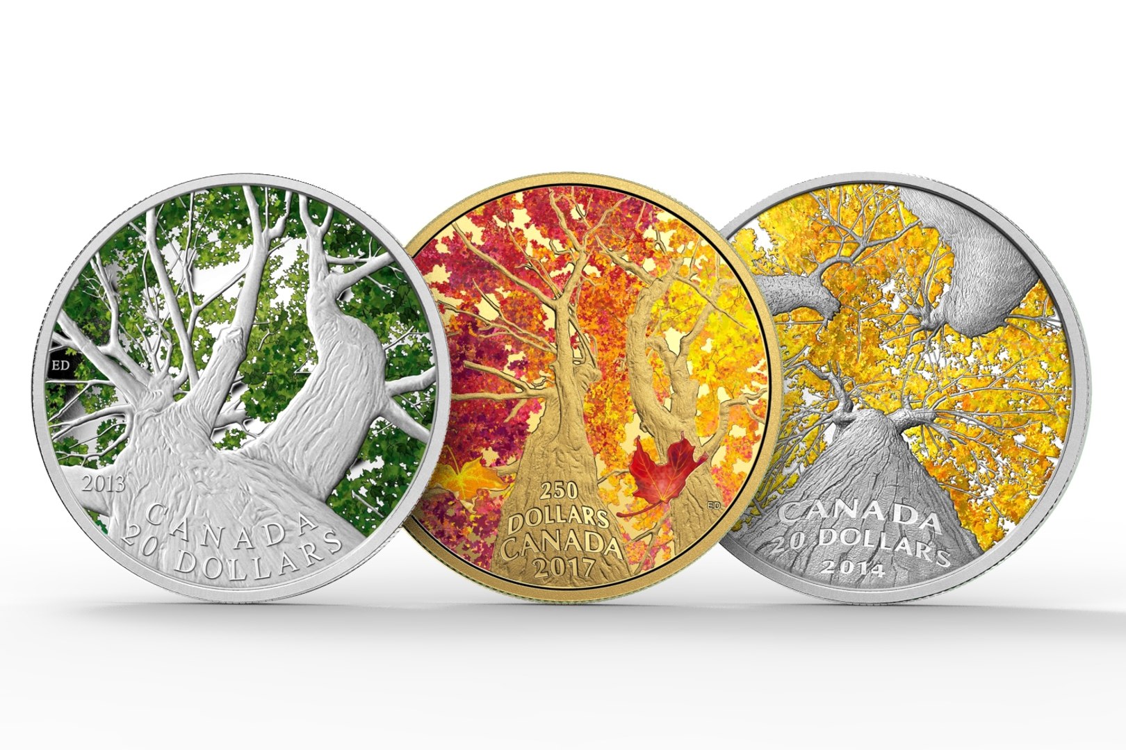 3D Canadian 20 Coins - TurboSquid 1557687