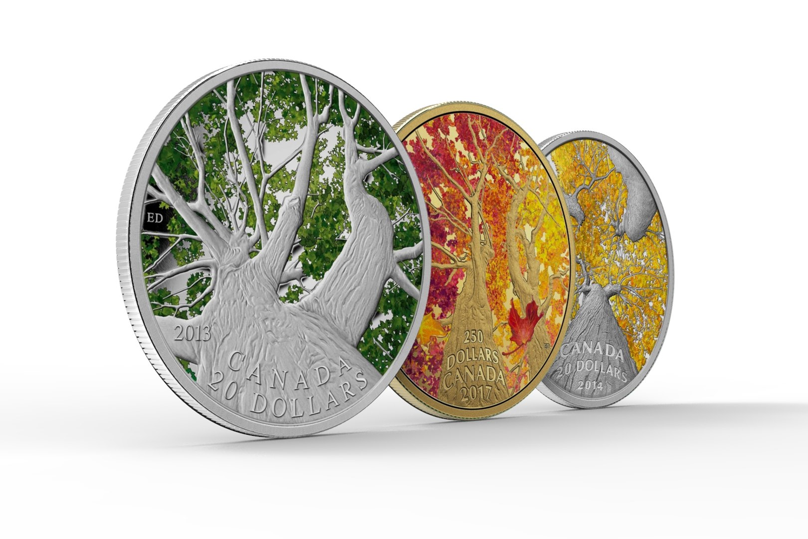 3D Canadian 20 Coins - TurboSquid 1557687