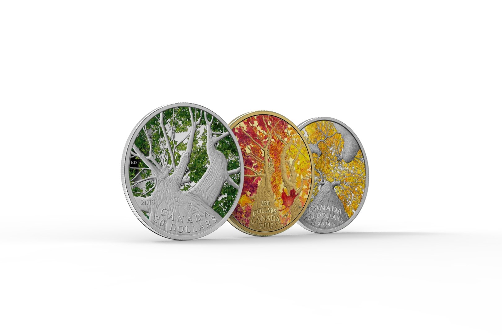 3D Canadian 20 Coins - TurboSquid 1557687