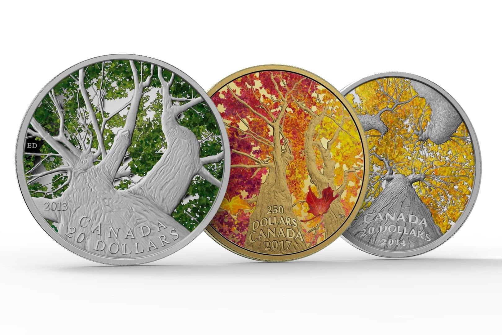 3D Canadian 20 Coins - TurboSquid 1557687