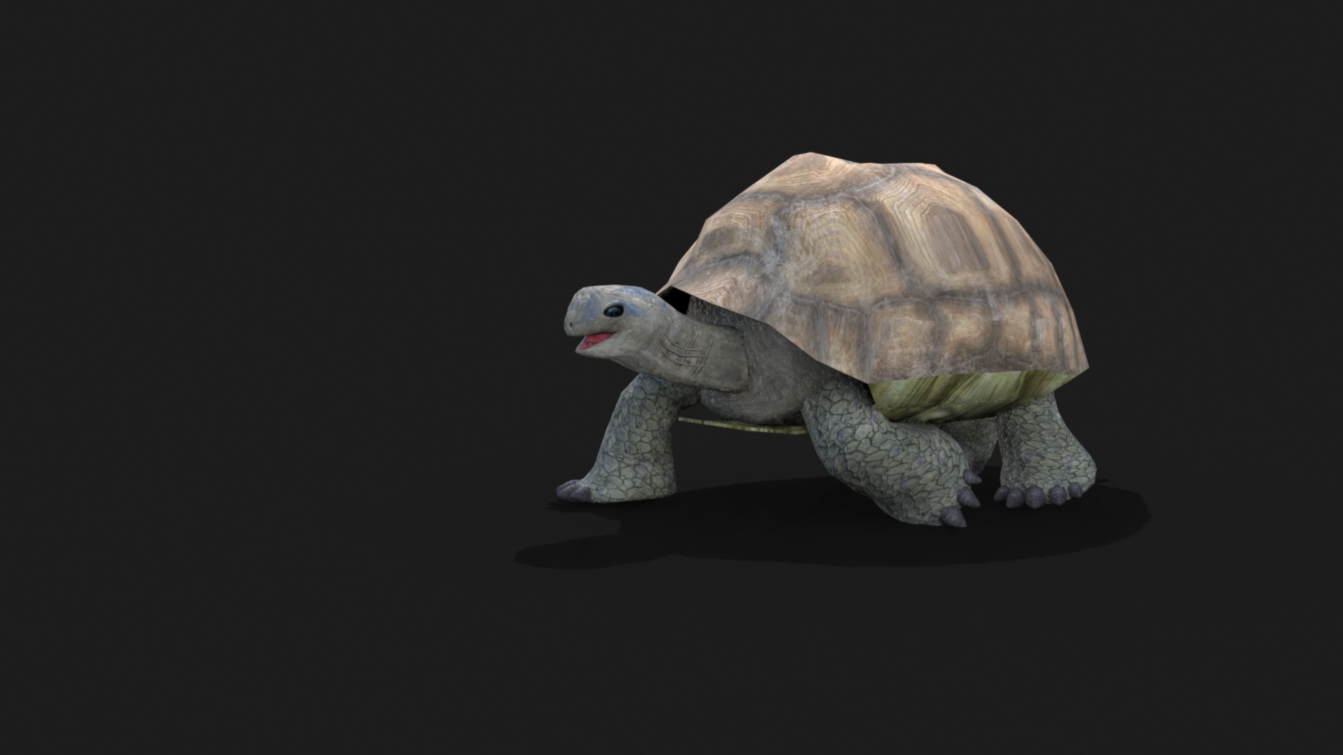 Gaint Tortoise Animated 3D Model - TurboSquid 2152320