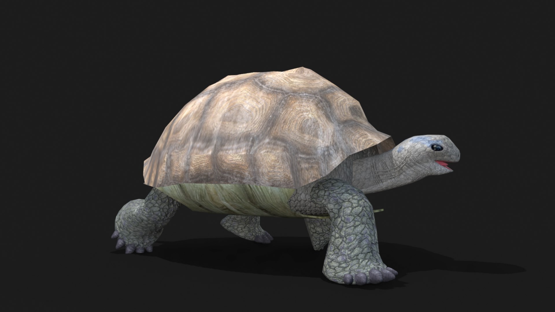 Gaint Tortoise Animated 3D Model - TurboSquid 2152320