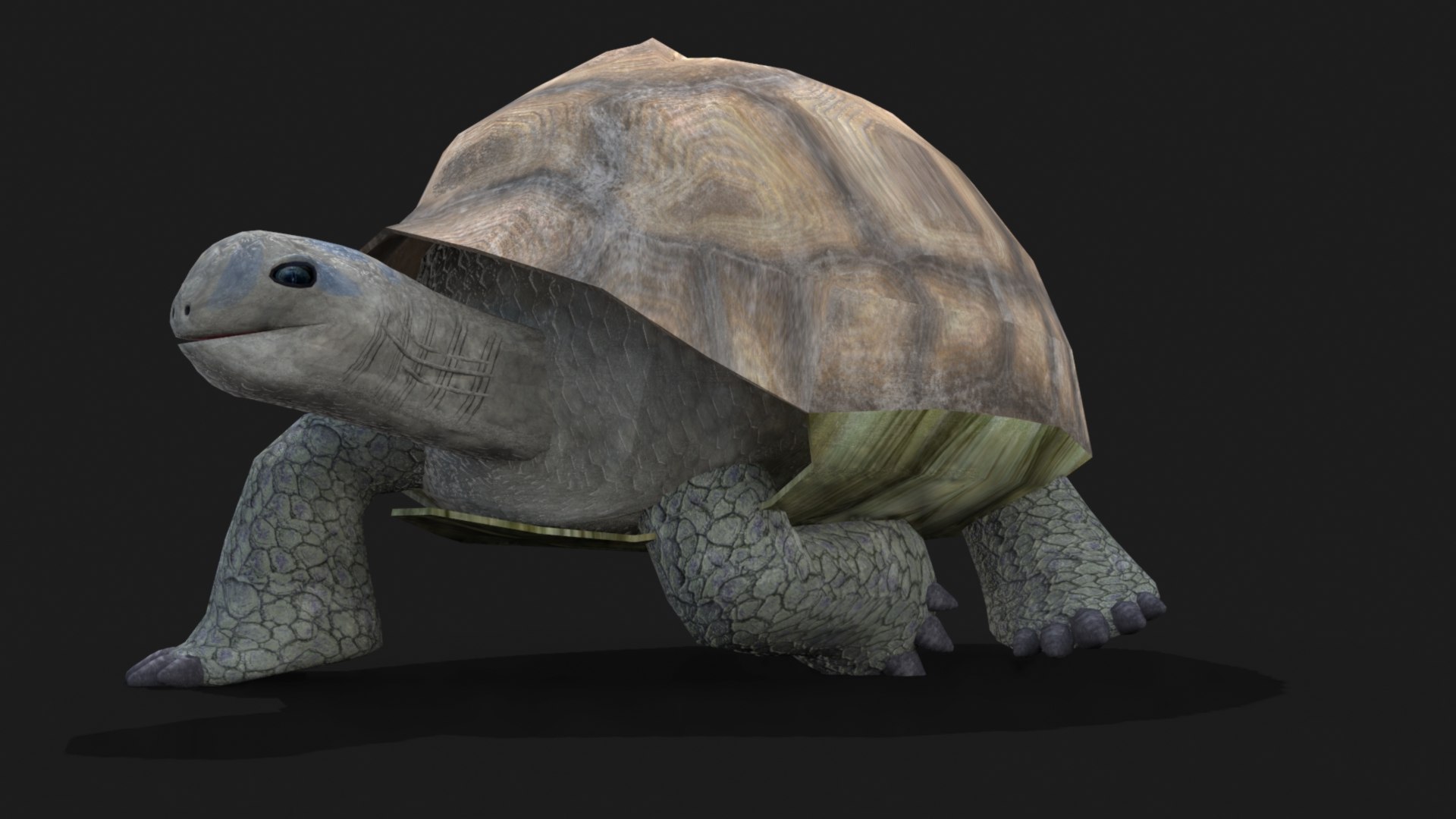Gaint Tortoise Animated 3D Model - TurboSquid 2152320