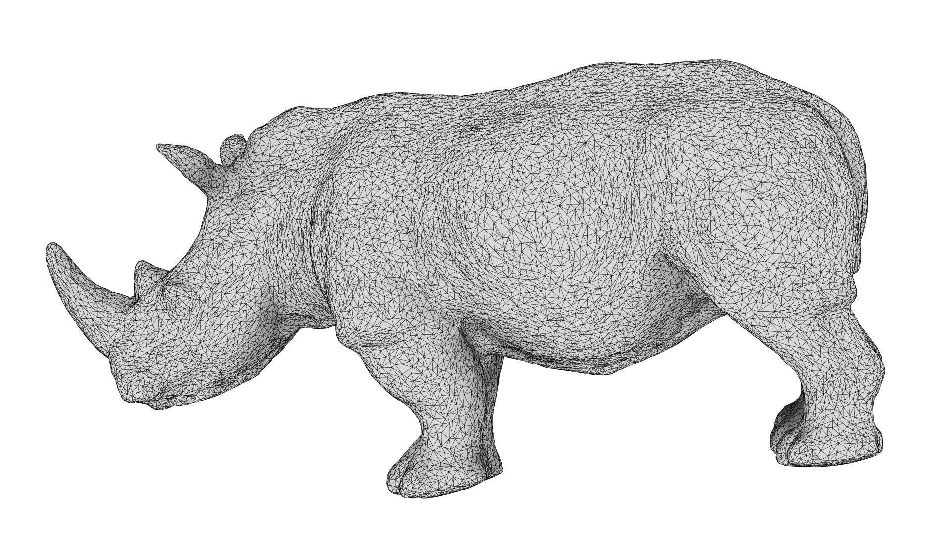 White Rhinoceros 3d Model